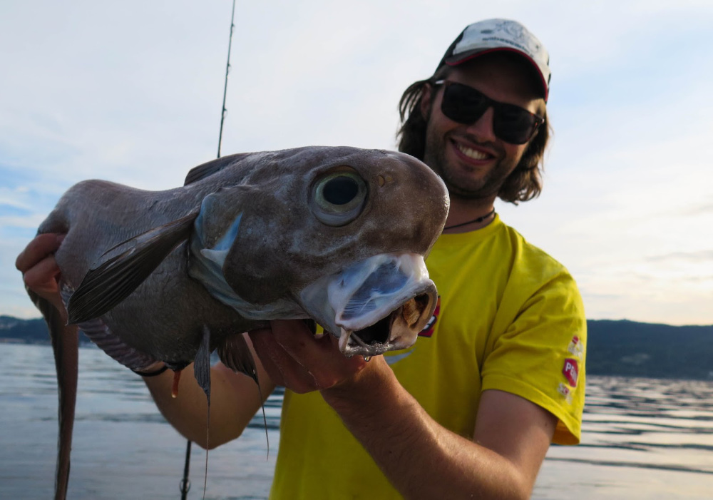 Skolest med NKML – Tips & triks – nkml