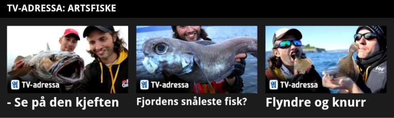 Skolest med NKML – Tips & triks – nkml