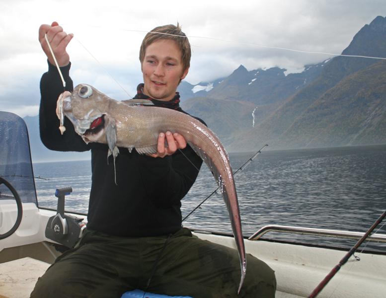 Skolest med NKML – Tips & triks – nkml