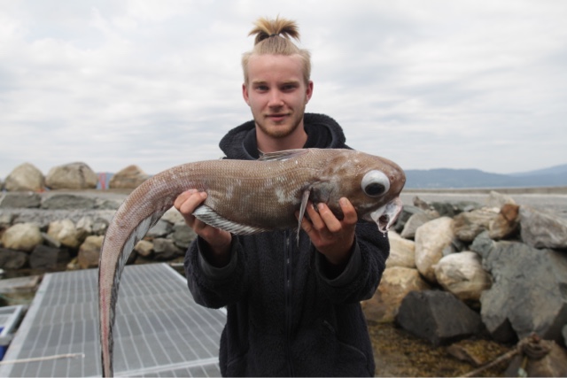Skolest med NKML – Tips & triks – nkml