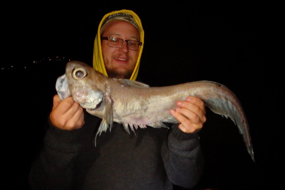 Skolest med NKML – Tips & triks – nkml